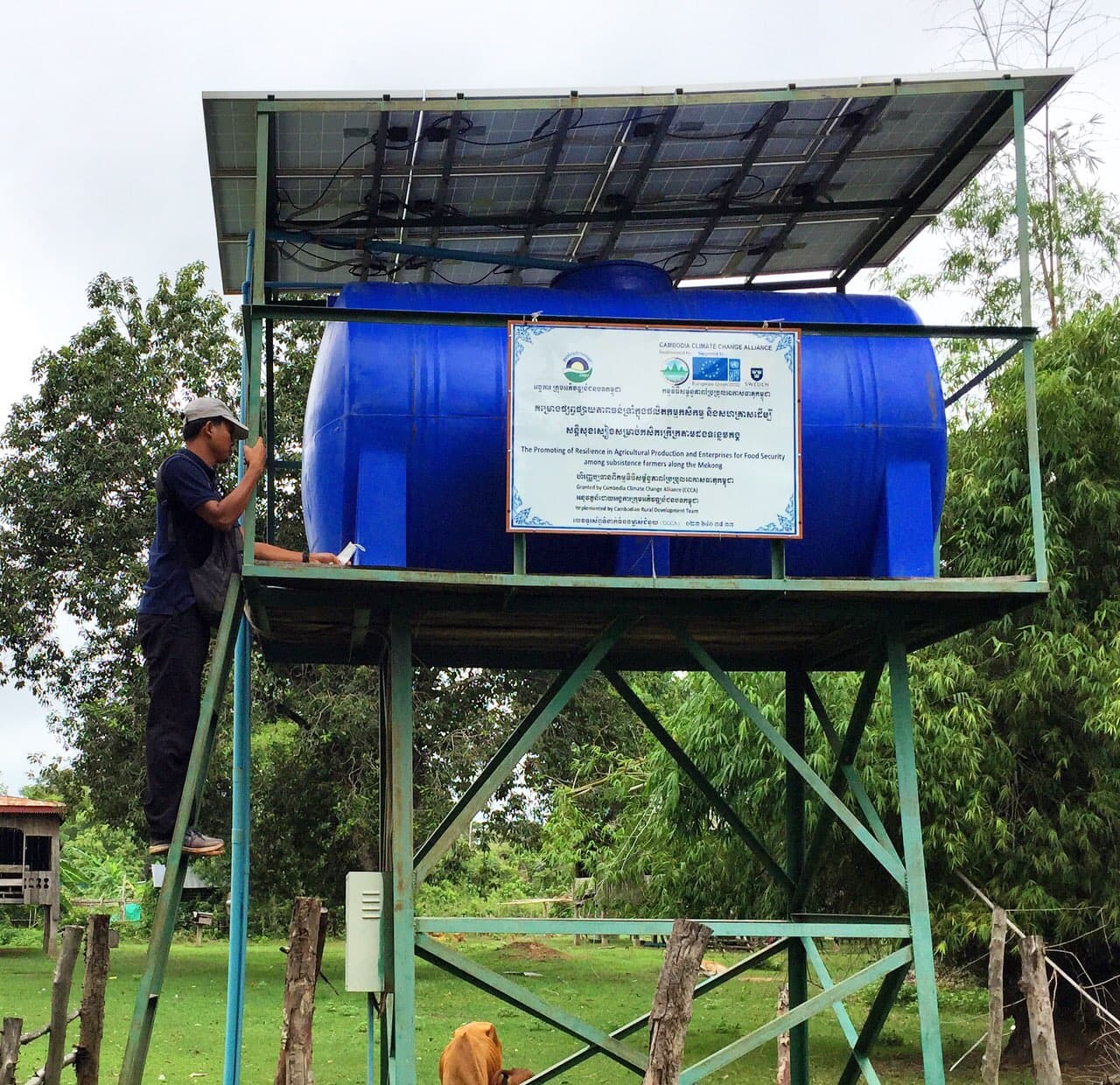 Solar is powering a water supply for an island on the Mekong ...
